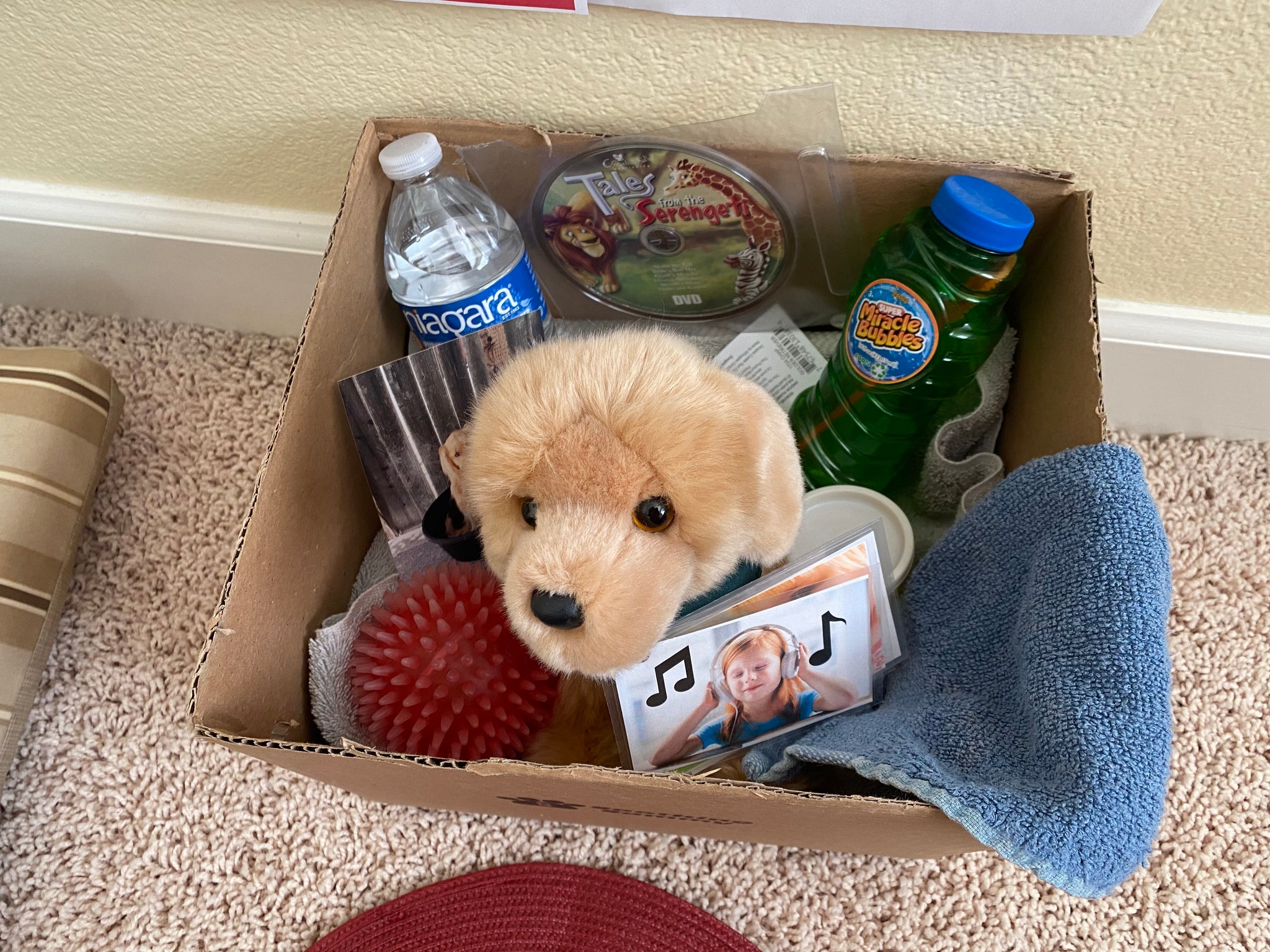 Soothing Sammy Emotions Program – JDEducational