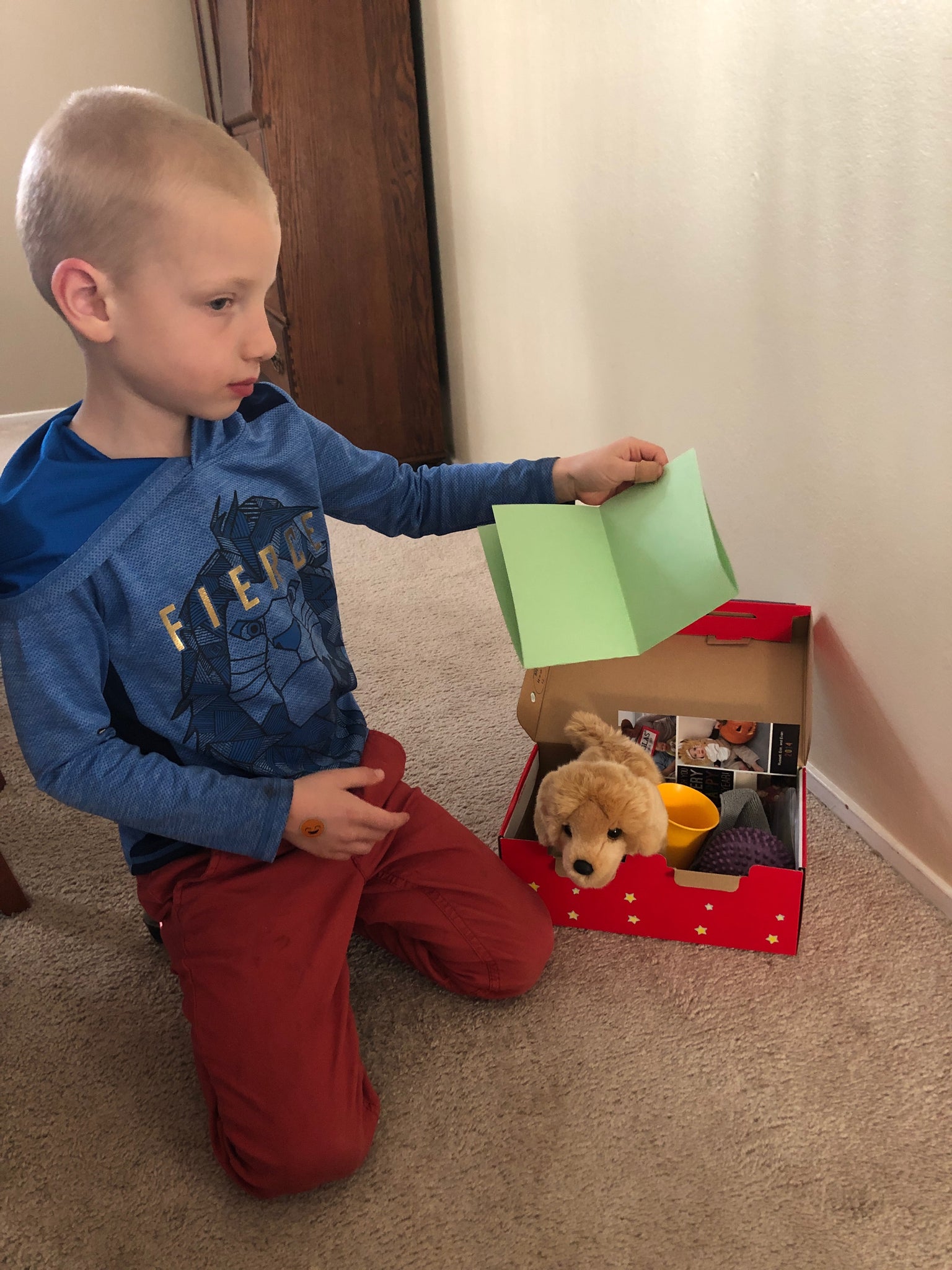 Soothing Sammy Emotions Program – JDEducational