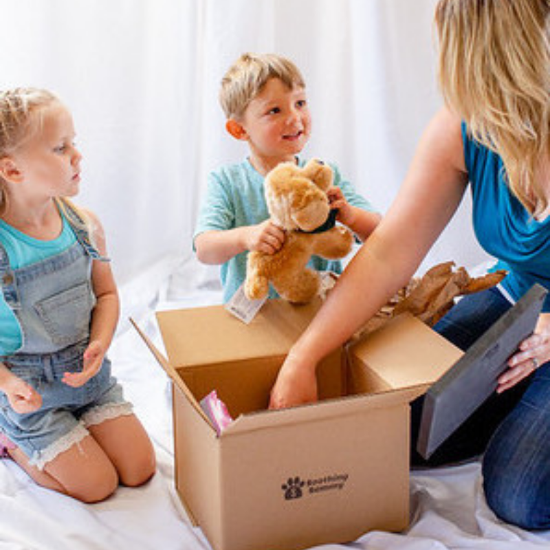 Soothing Sammy Emotions Program – JDEducational