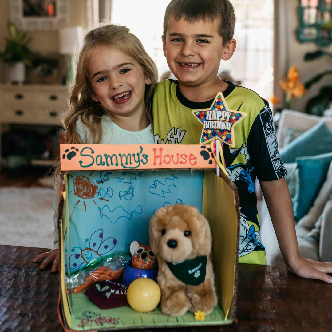 Soothing Sammy Emotions Program – JDEducational